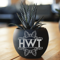 The Gospel of John: A Profile of Pontius Pilate. – His Word Today