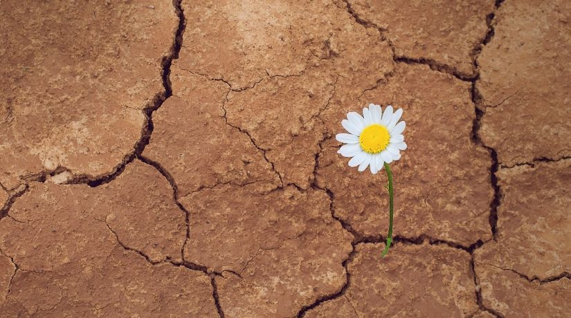 The Gospel of Matthew: Endurance. – His Word Today