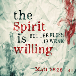 The Gospel of Matthew: Spirit and Flesh. – His Word Today