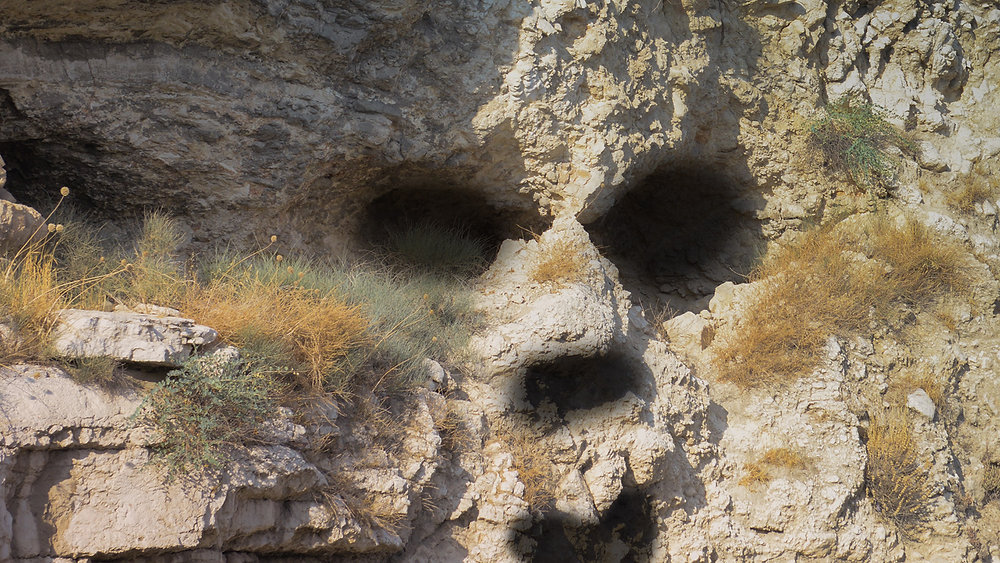The Gospel of Matthew: The Place of a Skull. – His Word Today