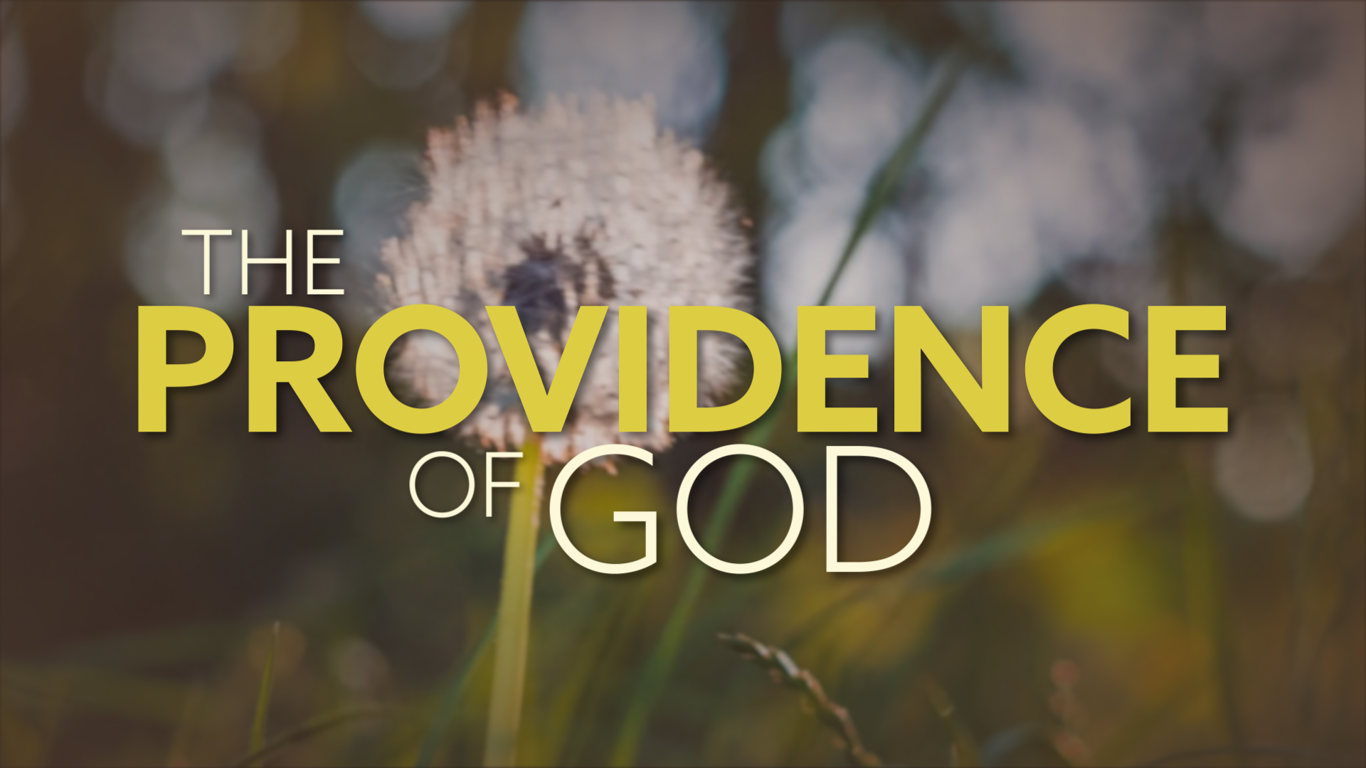 The Providence of God: Salvation. – His Word Today