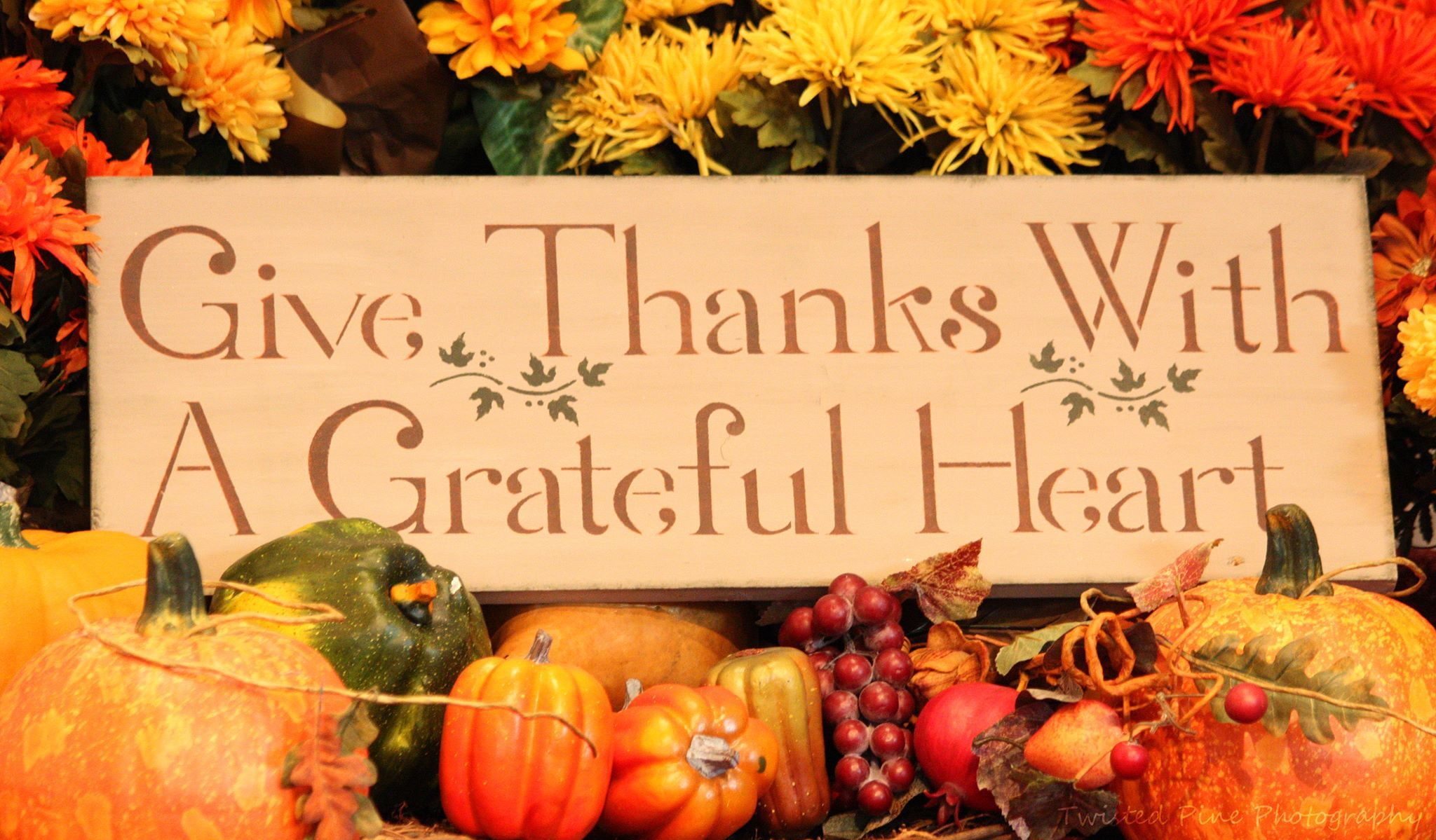 I Timothy: Giving Thanks. – His Word Today